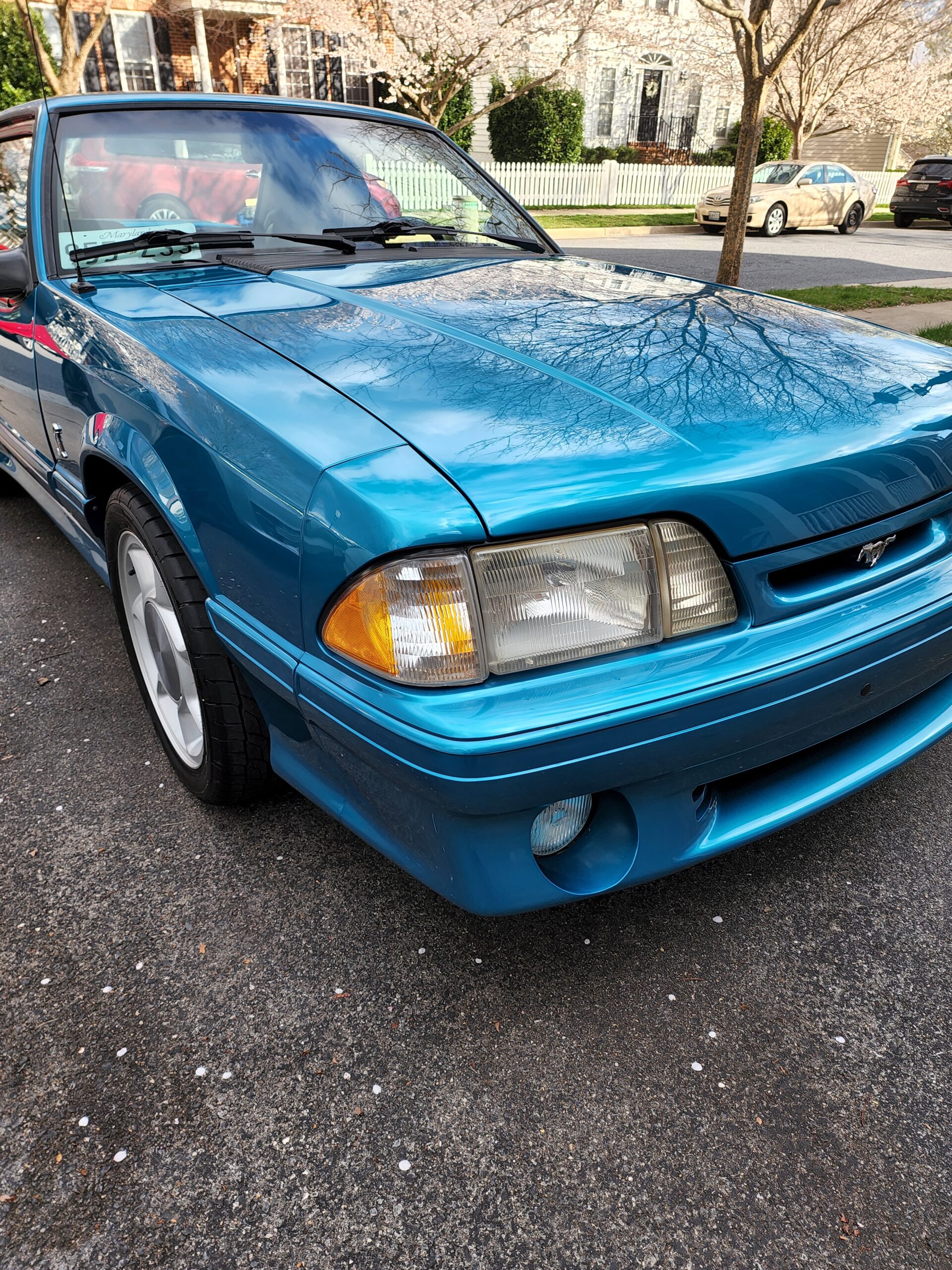 Ceramic Coating FAQs: Unveiling the Secrets to a Shiny, Protected ...