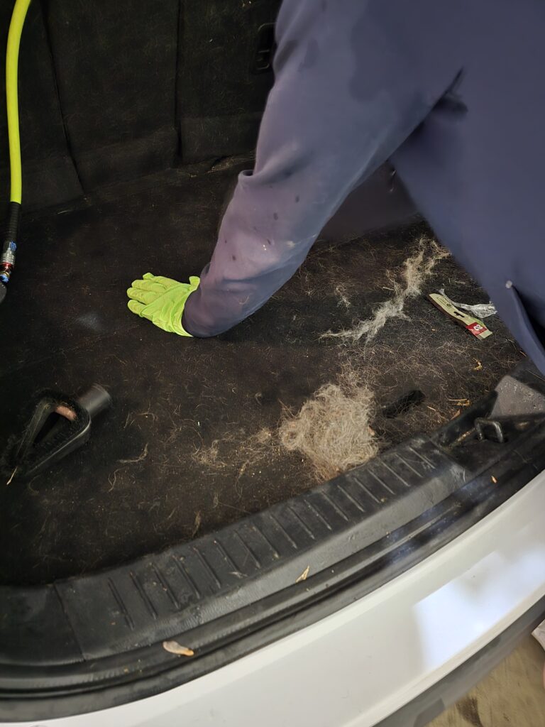 Leather vs Cloth Seats: How Cleaning and Treatment Actually Differs ...