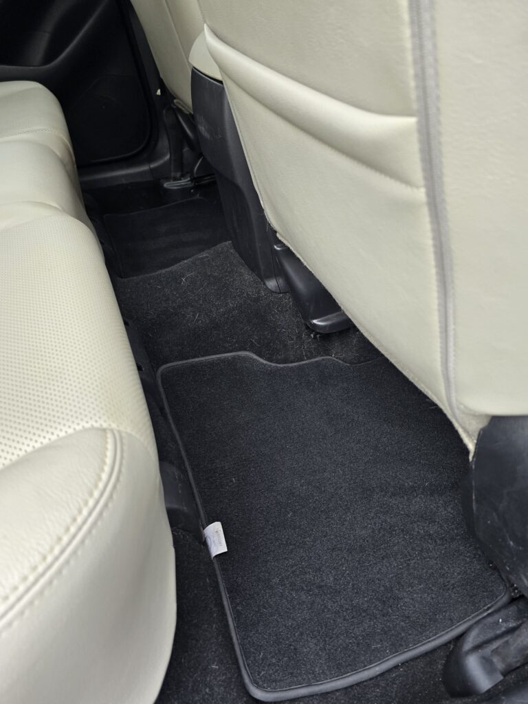 Car Odor Removal: What Works, What Doesn't, and When You Need a Pro ...
